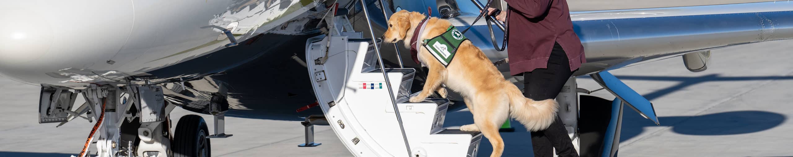 Flexjet Partners with University Hospitals to Transport Pet Pals ... Flexjet Partners with University Hospitals to Transport Pet Pals ...